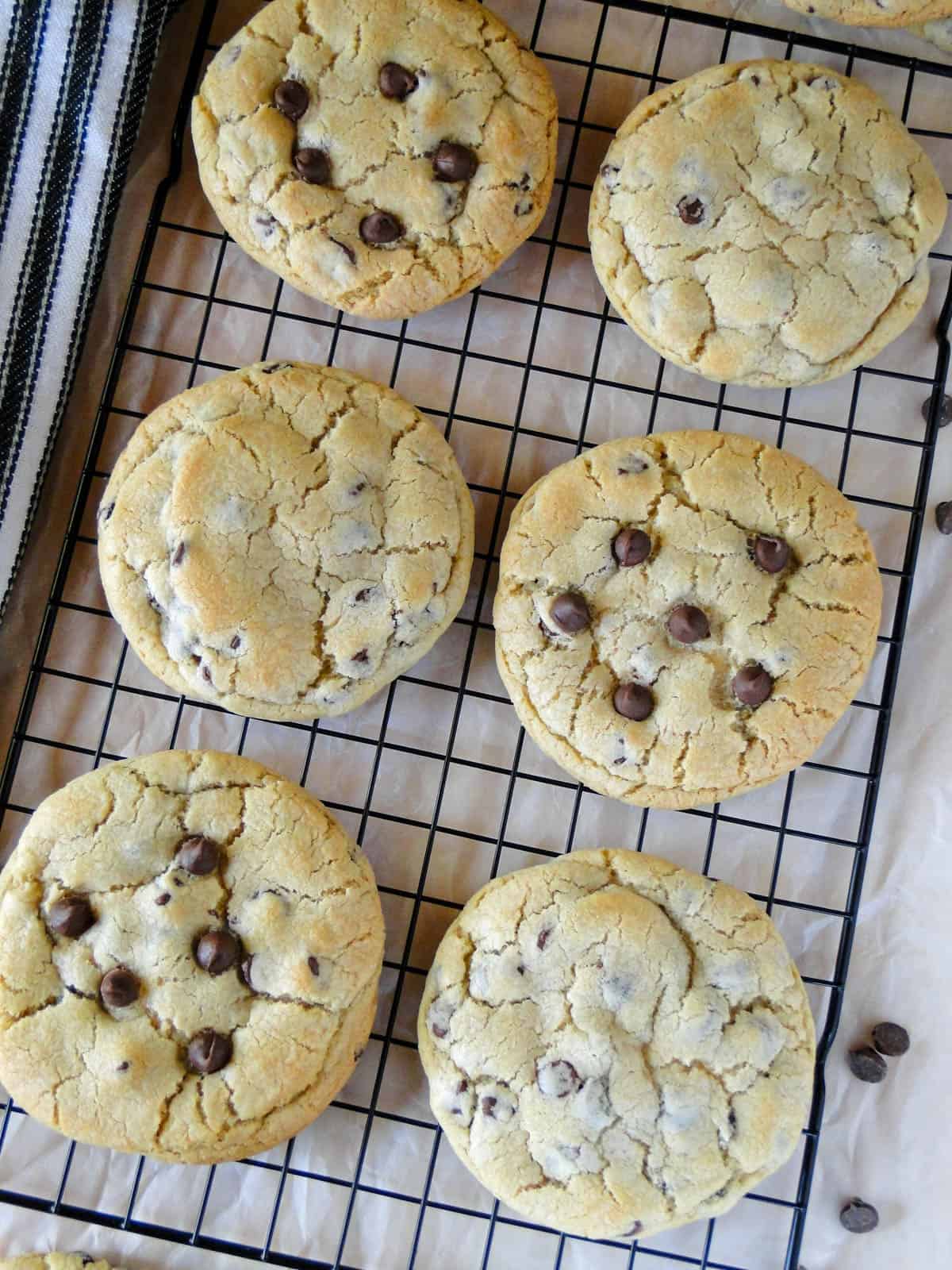 Gourmet Chocolate Chip Cookies
